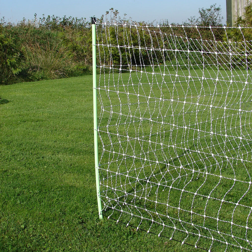 Electric Netting for Poultry | Electric Chicken Fencing