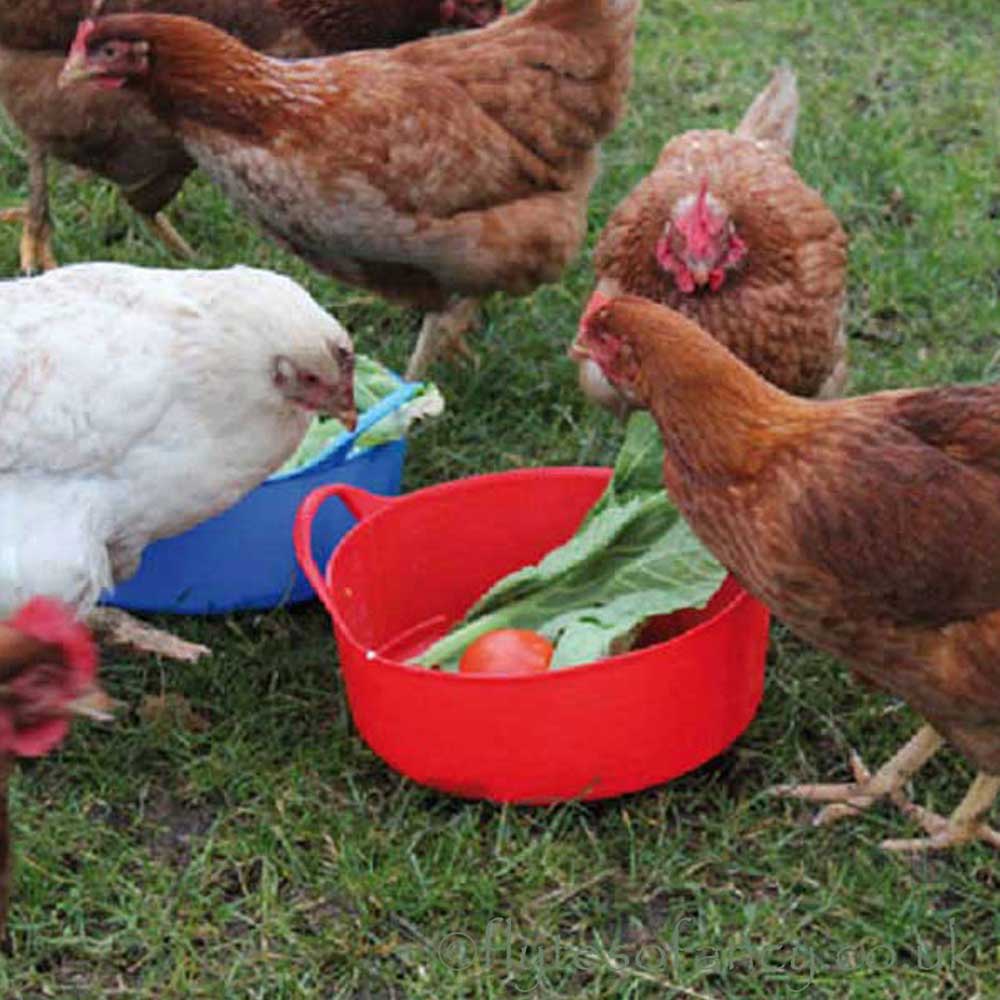 Poultry Feeder Troughs | Flexible Tub Trugs | Chicken Feeders