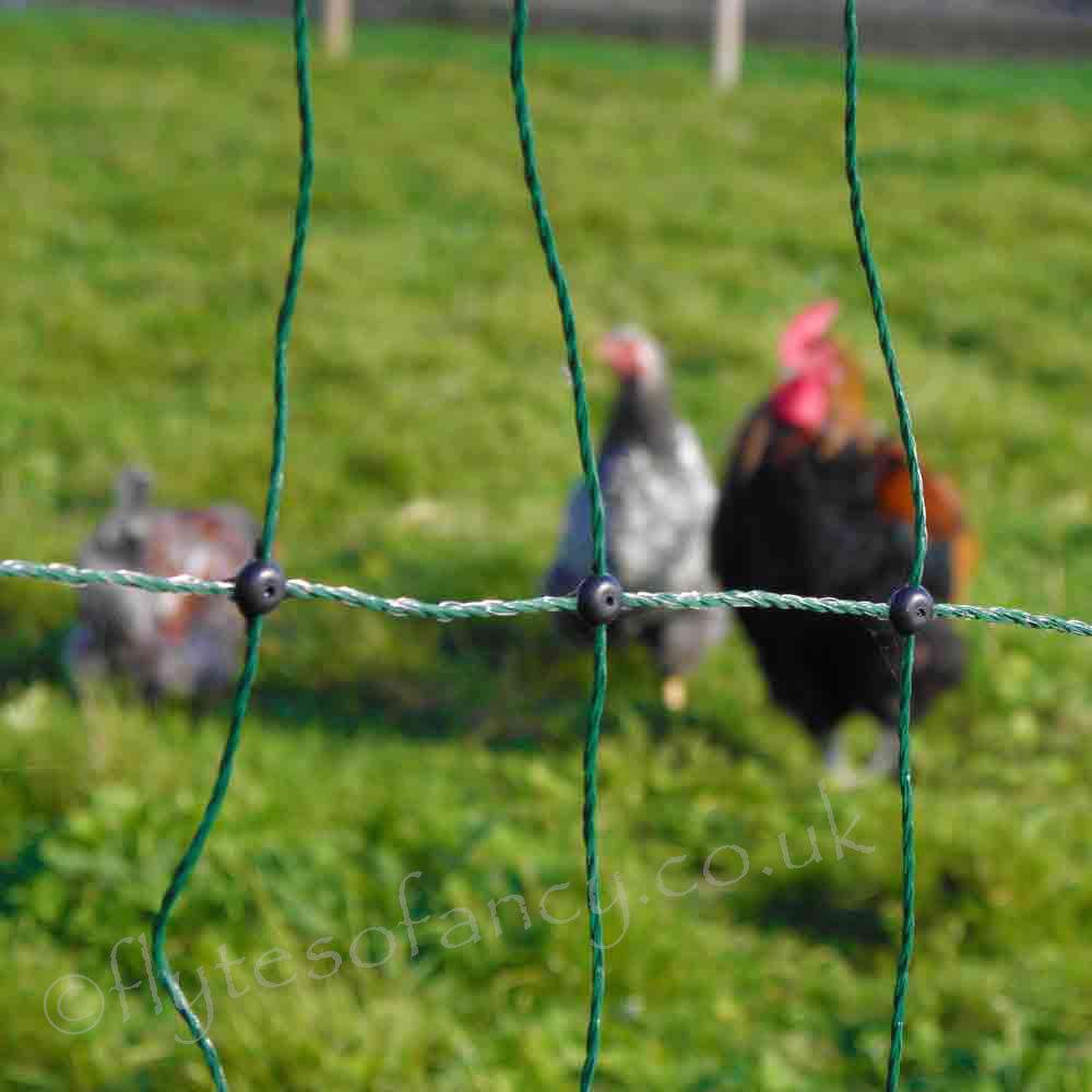 Electric Fencecom Chicken Electric Fence Innovations Revolutionize