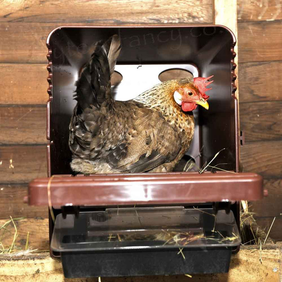ChickBox Rollaway Nest Boxes | Poultry Palace Nest Box