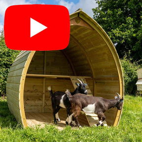 Arched Pygmy Goat Shelter - UK Made Animal Housing