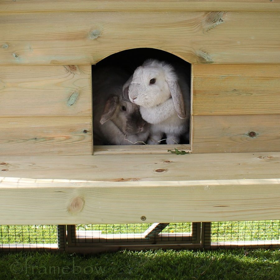 Arched Rabbit House - UK made by Flyte so Fancy