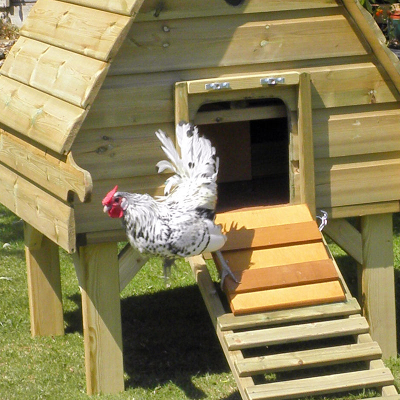 The Long-Legged Hobby Hen House by Flyte so Fancy
