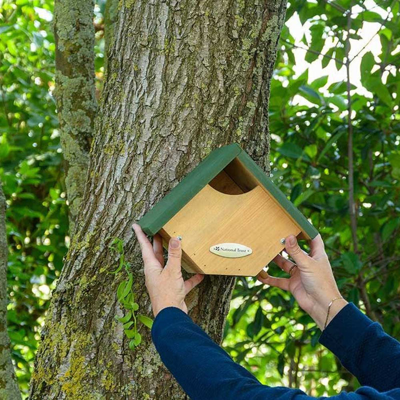 CJW Robin & Wren Wooden Nest Box | Garden Bird Nest Boxes