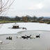 Floating Duck Lodge made in UK by Flyte so Fancy
